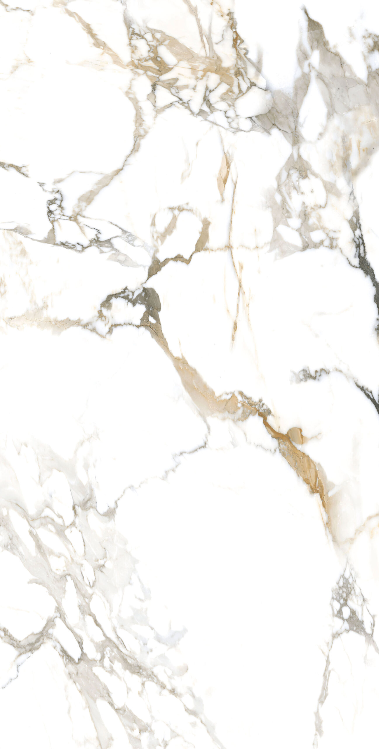 Ferrara White – Baldogres